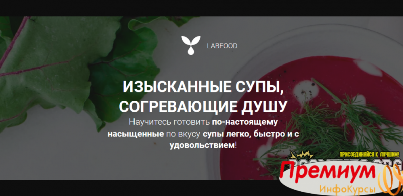 Курс [Яна Нетреба] [Labfood] Курс по супам (2021) - скачать слив